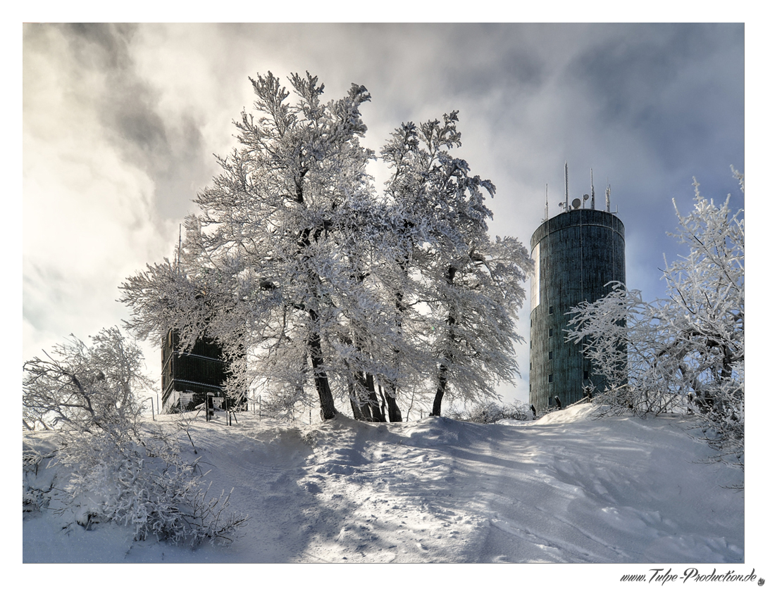 Landschaftsfotos vom Inselsberg in Thüringen ᑕ ᑐ Tulpe-Production